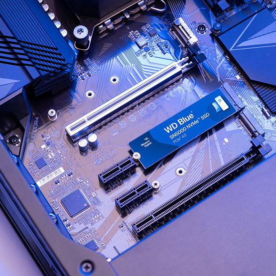 Western Digital מרחיבה את קו המוצרים WD Blue ומשיקה עבור יוצרי התוכן את ...